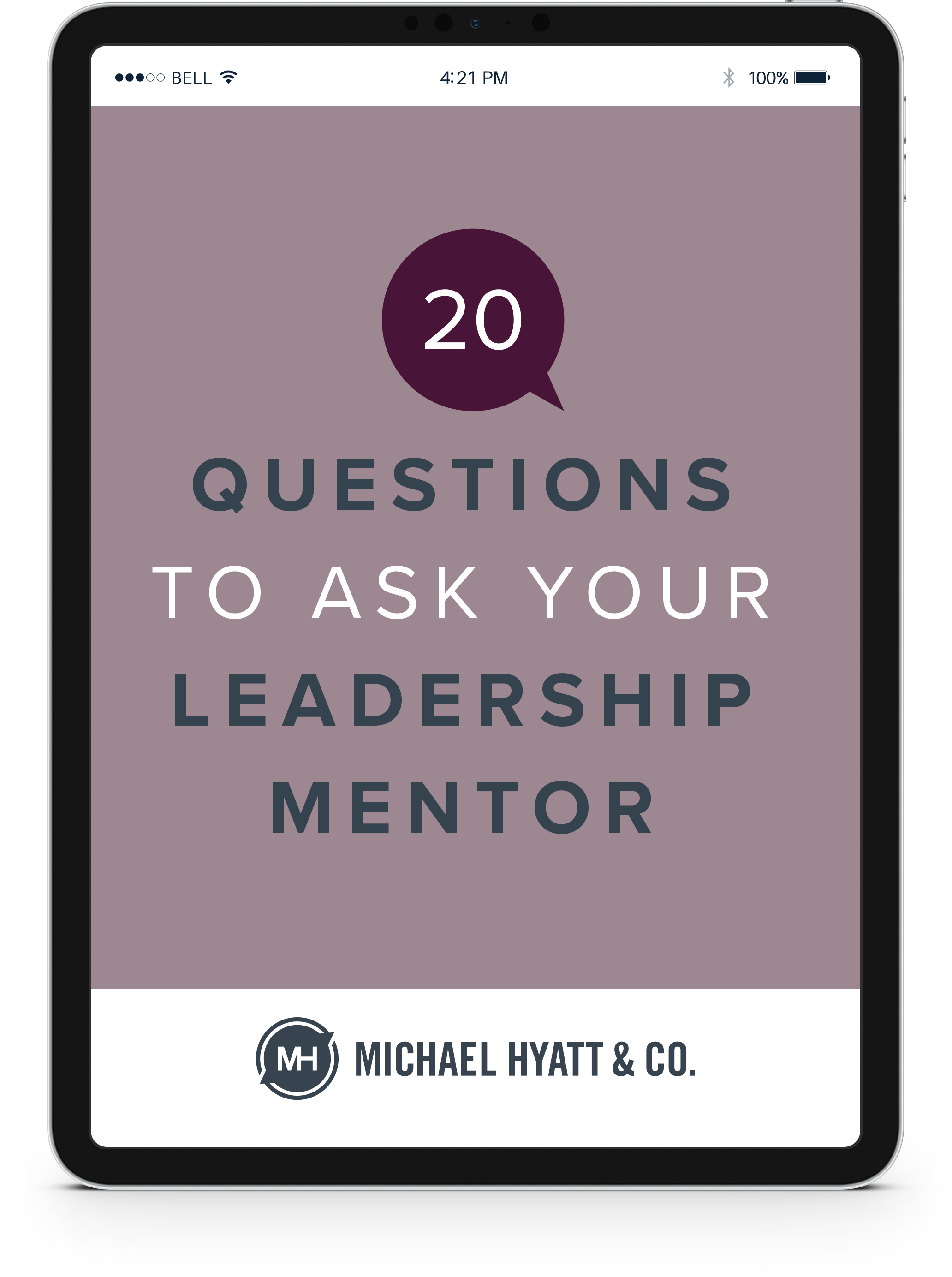 20 Questions To Ask Your Leadership Mentor 20-questions-to-ask-your-leadership-mentor